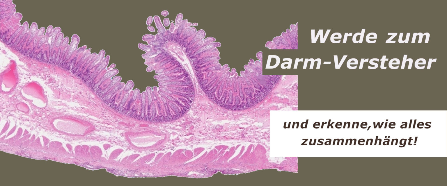 Darmheilung - natürliche Strategien zur Regeneration – Die HeilBAR